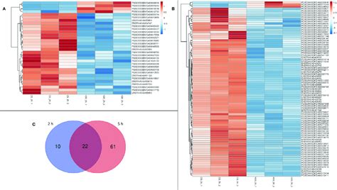 Differentially Expressed Genes In A Cluster Wise Heatmap Of All Download Scientific Diagram