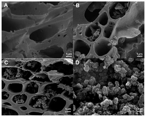 Surface Modified Biochar With Polydentate Binding Sites For The Removal