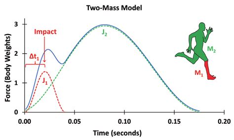 Running Vertical Ground Reaction Forces Can Be Quantified As The Sum Of Download Scientific