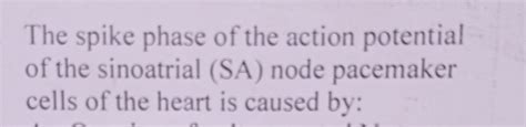 Solved The Spike Phase Of The Action Potential Of The Sinoatrial Sa