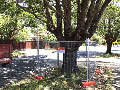 Temporary Fencing And Tree Protection Keeping Trees Safe Across NSW