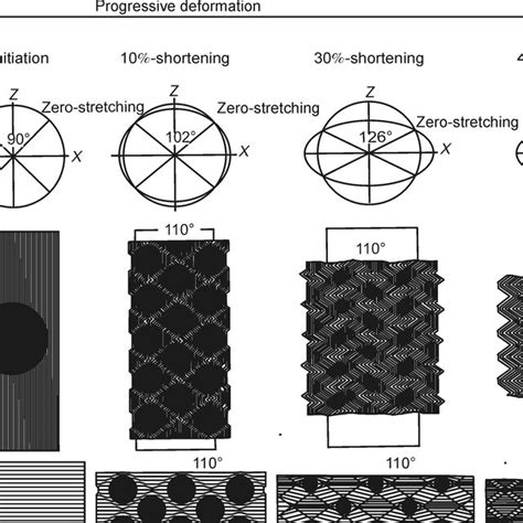 Progressive Homogeneous Deformation And Deformation Localization Of Download Scientific Diagram