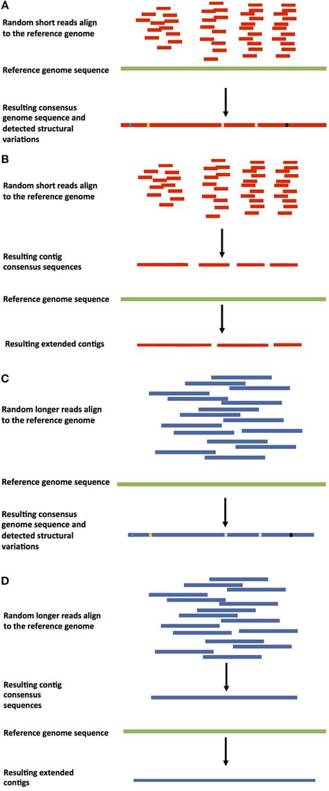 Approaches For Reference Based Genome Assembly A Shorter Read Guided