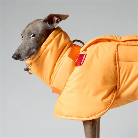 Gravity Super Cover Extreme Vemvem®