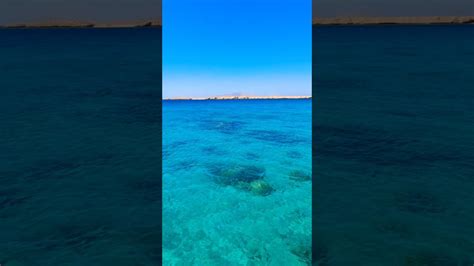 Sindalah ️ Cluster 5 Neom Saudi Arabia Neom Sindalah Saudiarabia Youtube