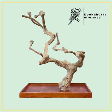 Large Table Top Java Tree