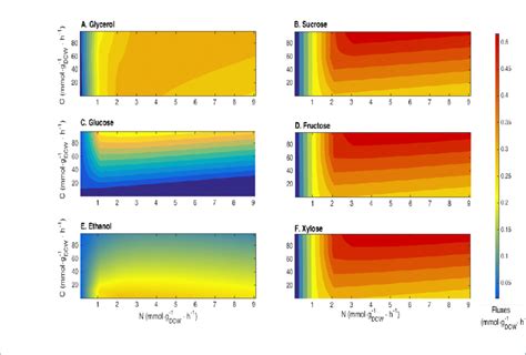 In − Silico Growth Rate When Using Different Carbon Sources X And Y