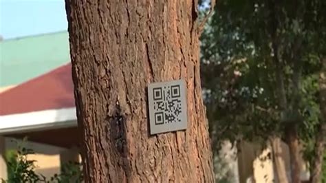 Talking Tree initiative through QR code on trees in Chandrapur vk टकग टर झड दणर सवत