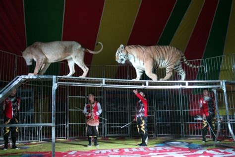 走进宿州宿州市人民政府