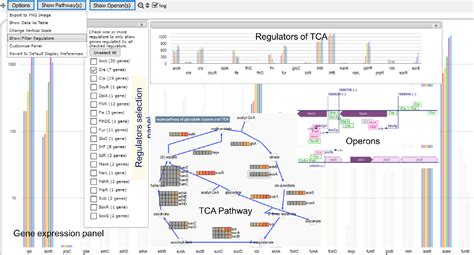 Figure 3 From The Omics Dashboard For Interactive Exploration Of Gene