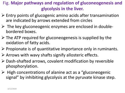 Gluconeogenesis Pptx
