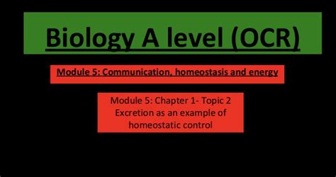 excretion as an example of homeostatic control a level biology