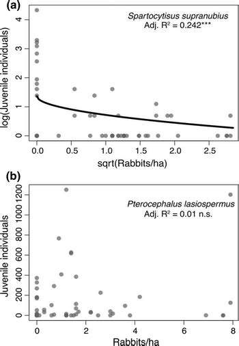 Linear Regression Of Both Species For Juvenile Individuals And Rabbits