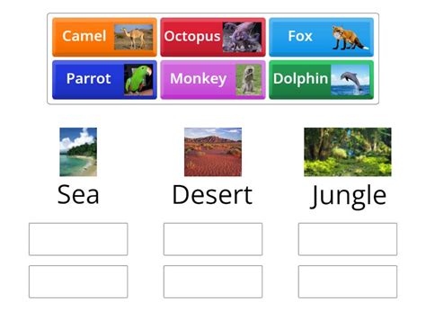 Classification Group Sort