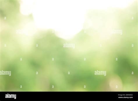 Sunlight Trees Background Blur Hi Res Stock Photography And Images Alamy