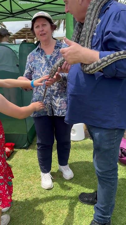Wanna Hold The Python Python Australia Shortsvideo Youtube