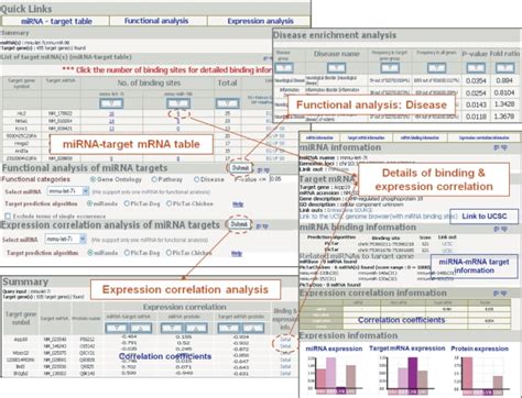 sample output picture from the target function expression module
