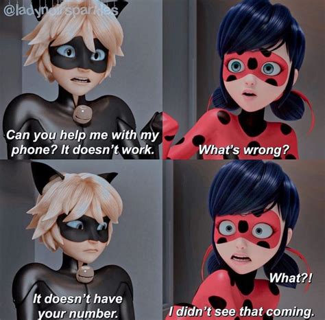 Pin By Bianca Avaro On Miraculous Ladybug Miraculous Ladybug Funny