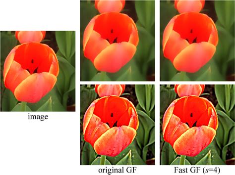 150500996 Fast Guided Filter