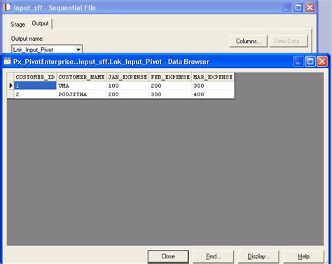 Datastage Help Topics Pivot Enterprise Stage
