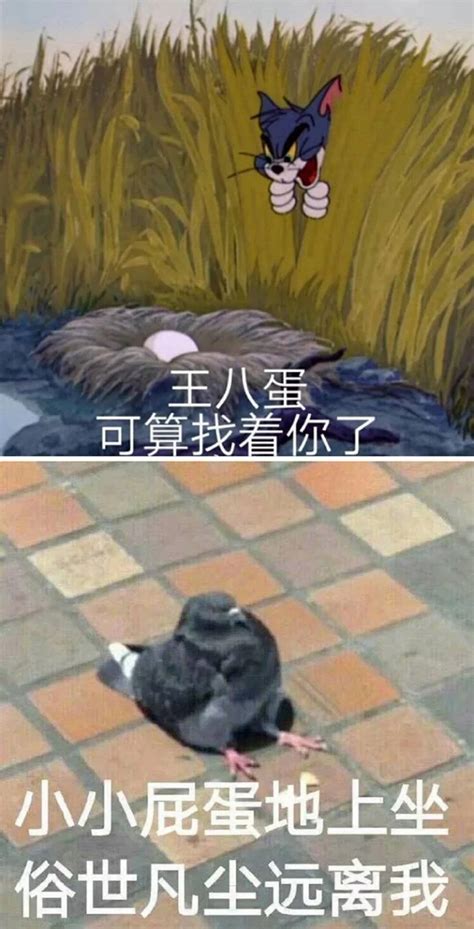 情包仓库上新啦~ 快来看评论拿原图吧！ 花瓣网