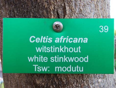 Tree Tags Manufactured To Client Requirements In South Africa
