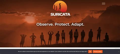 10 Best Open Source Cloud Security Tools 2021 Cyber Security News