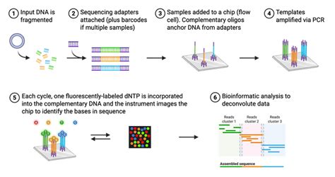 Addgene Molecular Biology Reference