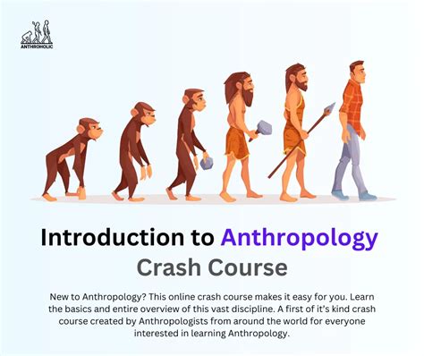 What Is Computational Archaeology Anthroholic