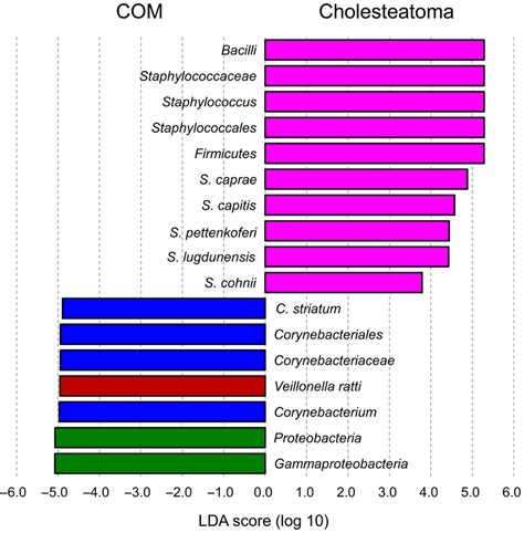 Linear Discriminant Analysis Lda Coupled With Effect Size Download Scientific Diagram