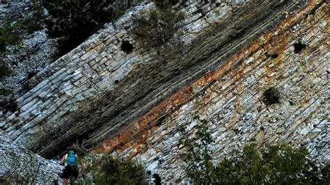 Molecular Fossils Of Microbial Interactions Small Things Considered