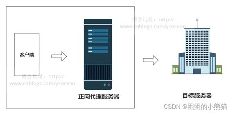 nginx从入门到精通 超级详细 nginx培训 csdn博客