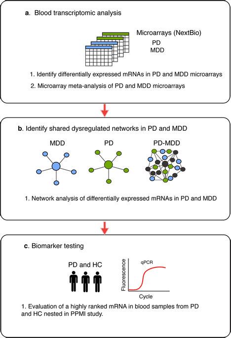 Integrative Transcriptomic And Network Analysis Microarray Datasets