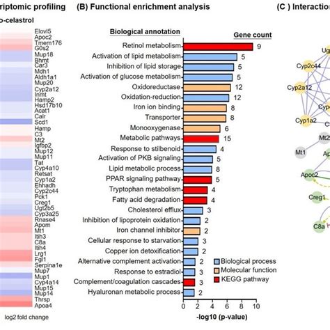 Rna Seq Transcriptome Profiling Of Celastrol Regulated Genes A Download Scientific Diagram