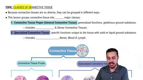 Grouping Connective Tissues Channels For Pearson
