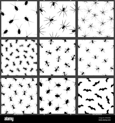 Pest And Insect Seamless Pattern Set Stock Vector Image Art Alamy