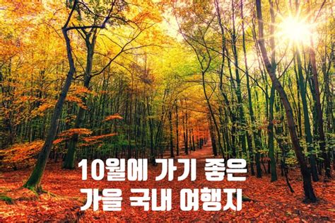 단풍 개화시기와 10월에 가기 좋은 가을 국내 여행지 네이버 블로그