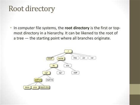 Ppt Root Directory Powerpoint Presentation Free Download Id 3480377
