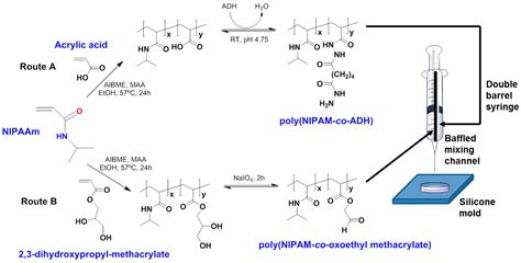 Polyn Isopropylacrylamide And Copolymers A Review On Recent Progresses In Biomedical Applications