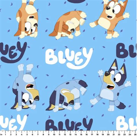 Fleece Turning Bluey Officially Licensed Through Springs Creative Boogie And Bounce Bluey And Bingo