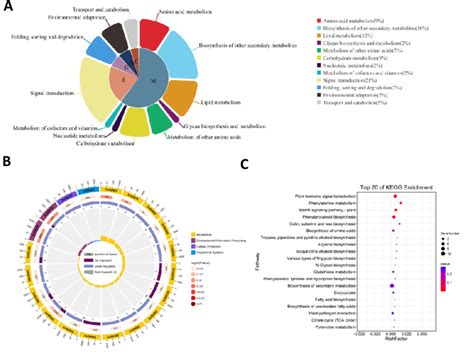 Primary And Secondary Classification A And The Top 20 Significantly Download Scientific