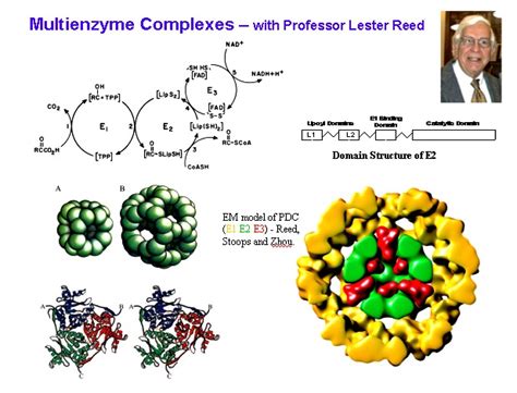 Hackert Lab Projects