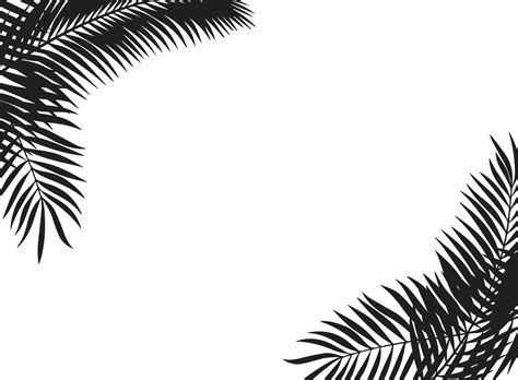 Black Leaves Of Palm Tree 18928511 Vector Art At Vecteezy