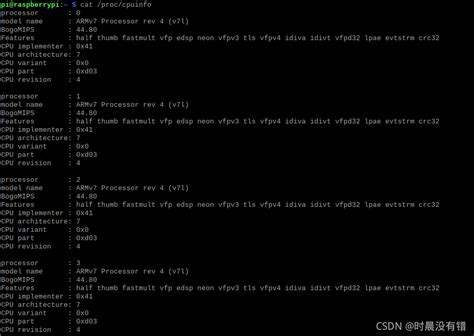 以树莓派为例基于linux系统下查看cpu信息 树莓派怎么查cpu核数 csdn博客