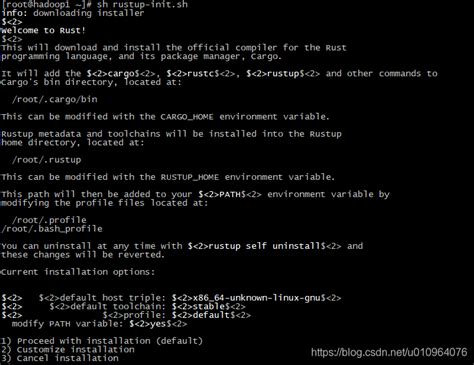 rust安装慢怎么办，使用镜像方式安装 curl安装rust很慢 csdn博客
