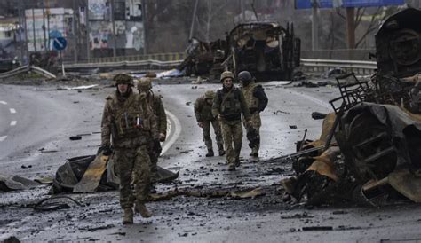 Украинские боевики в Курахово бросали трупы своих сослуживцев на съедение собакам Происшествия