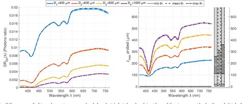 figure 1 from proposal for a skin layer wise decomposition model of