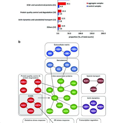 Functional Classification And Interactions Of Proteins Identified As Download Scientific