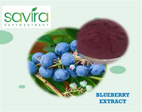 Blue Berry Extract Powder 25 At ₹ 1850kg Ghaziabad Id 2856624094330