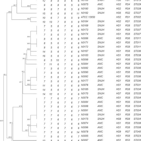 cluster analysis of mycobacterium intracellulare based on download